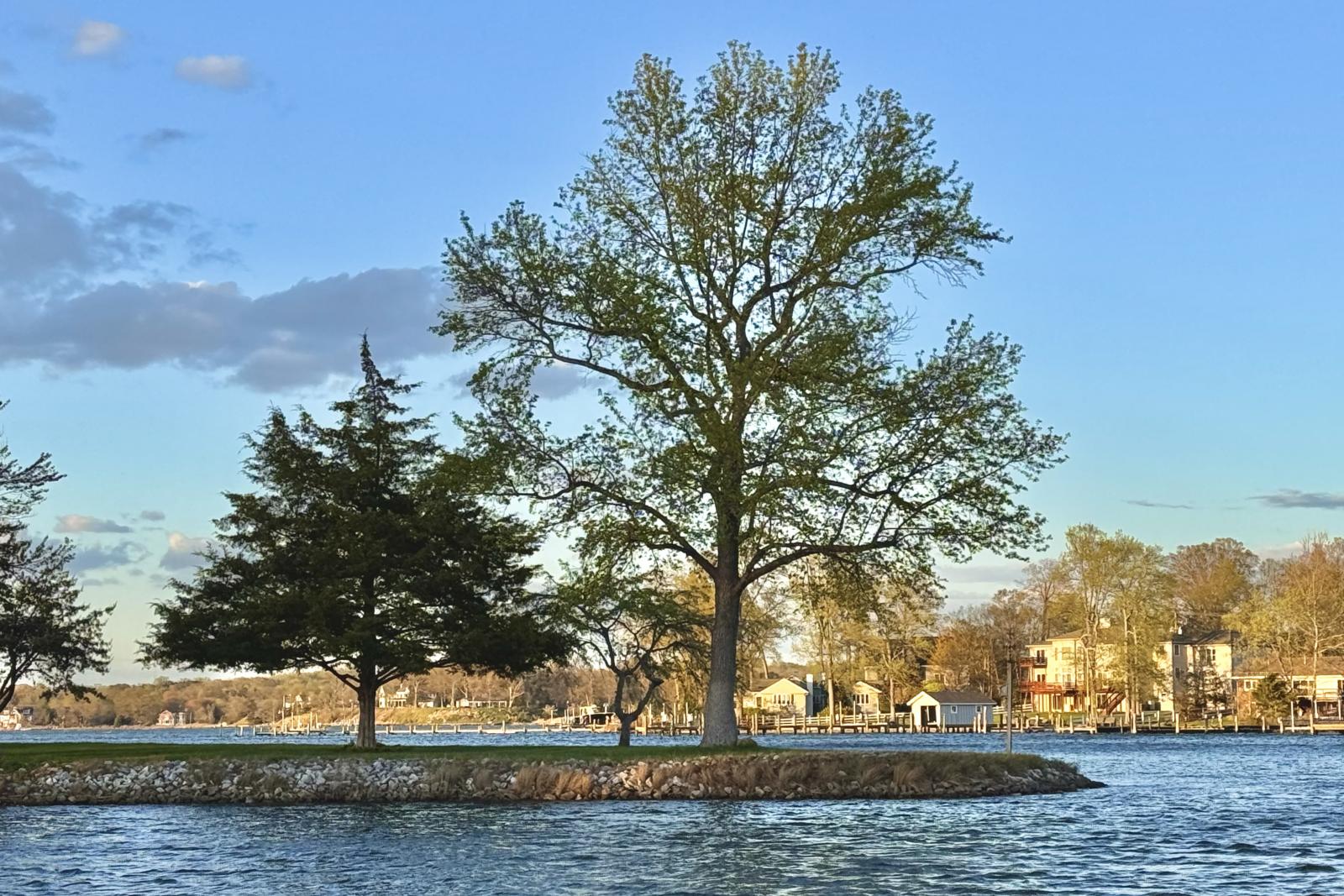 IMG_8087.jpeg | SpinSheet