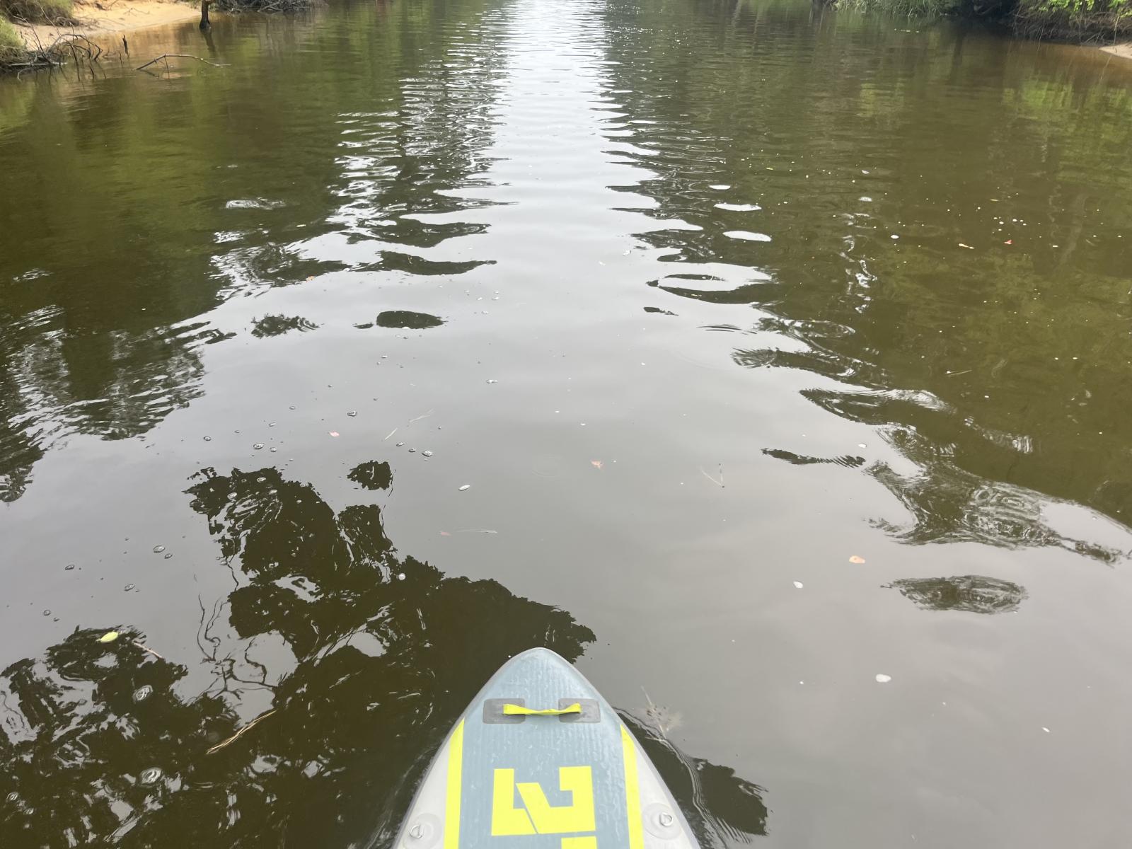 IMG_8185.jpeg | SpinSheet