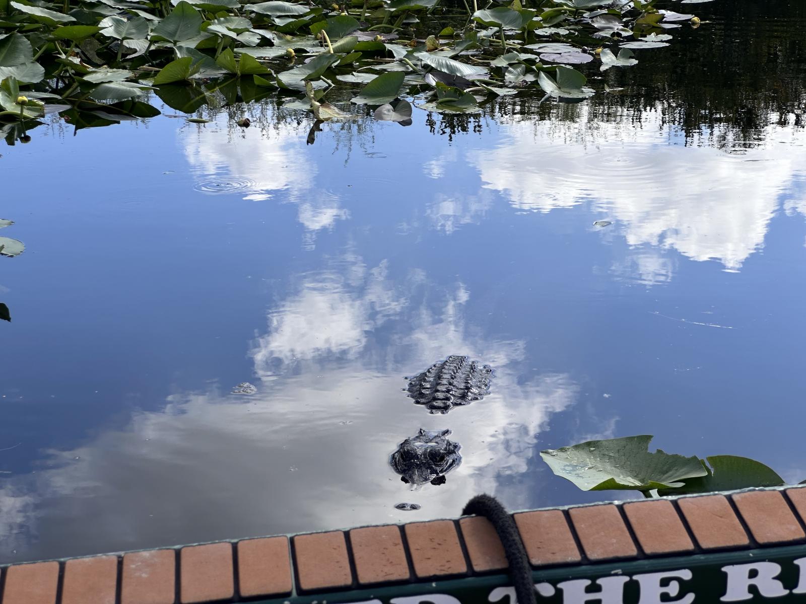 IMG_8279.jpeg | SpinSheet