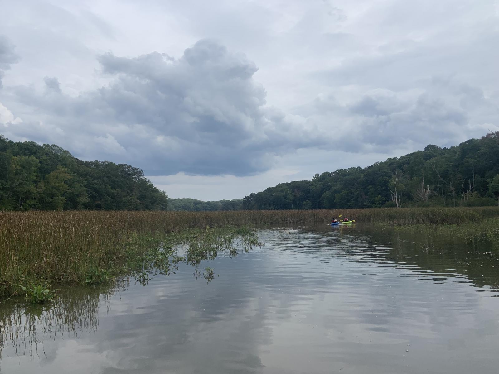 IMG_8317.jpeg | SpinSheet