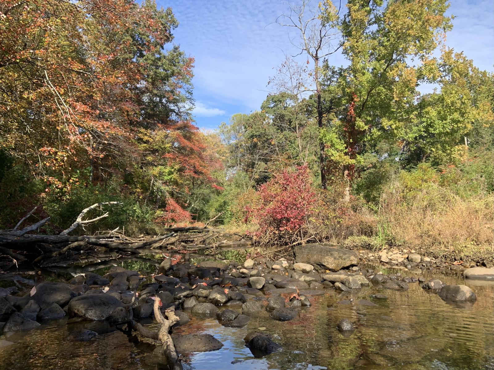 IMG_8399.jpeg | SpinSheet