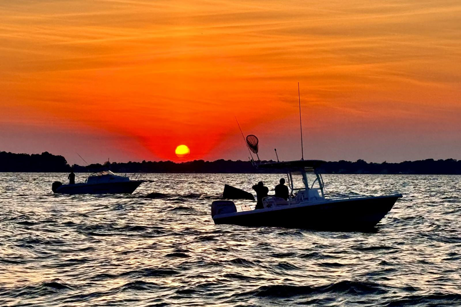 IMG_8421.jpeg | SpinSheet