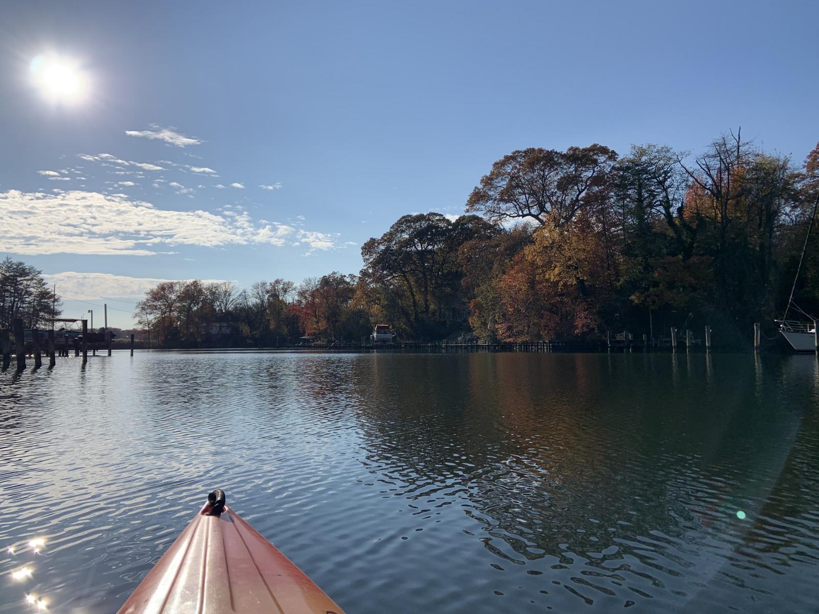 IMG_8542.jpeg | SpinSheet