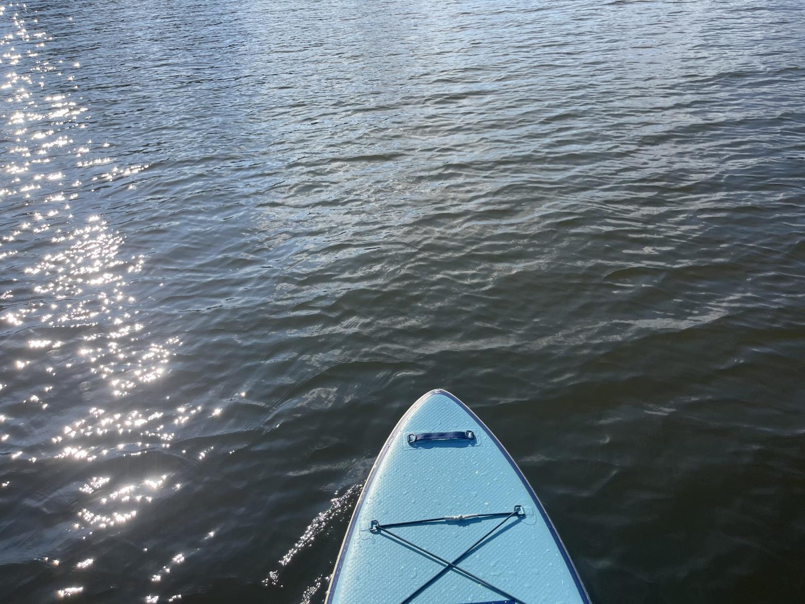 IMG_8842.jpeg | SpinSheet