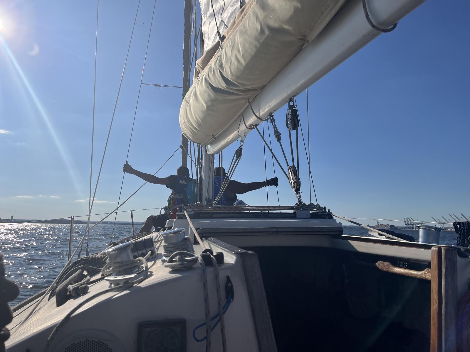 Img 9179 Jpeg Spinsheet