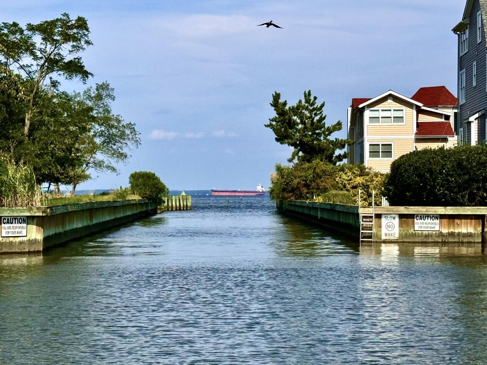 IMG_9974.jpeg | SpinSheet