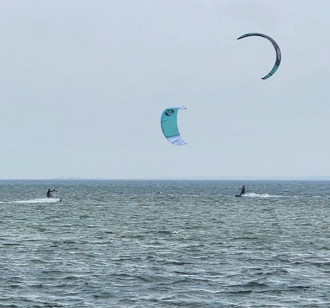 Kites June.jpg | SpinSheet