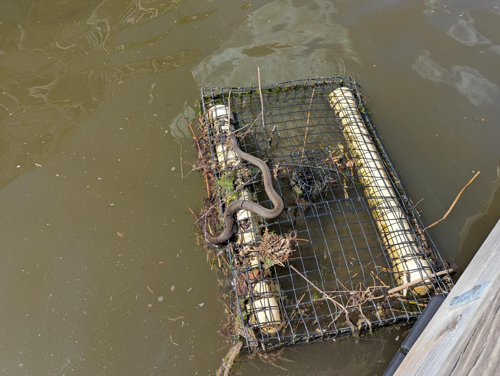 PXL_20250507_141820014.jpg | SpinSheet