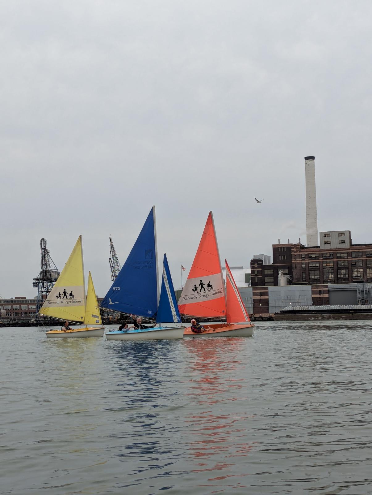 PXL_20250929_215146759.jpg | SpinSheet