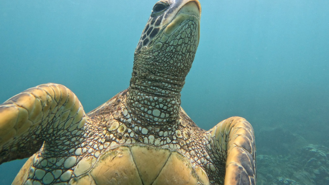 VideoCapture_20240624-222214.jpg | SpinSheet