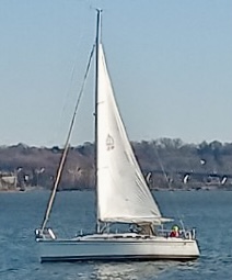 image000000.jpeg | SpinSheet