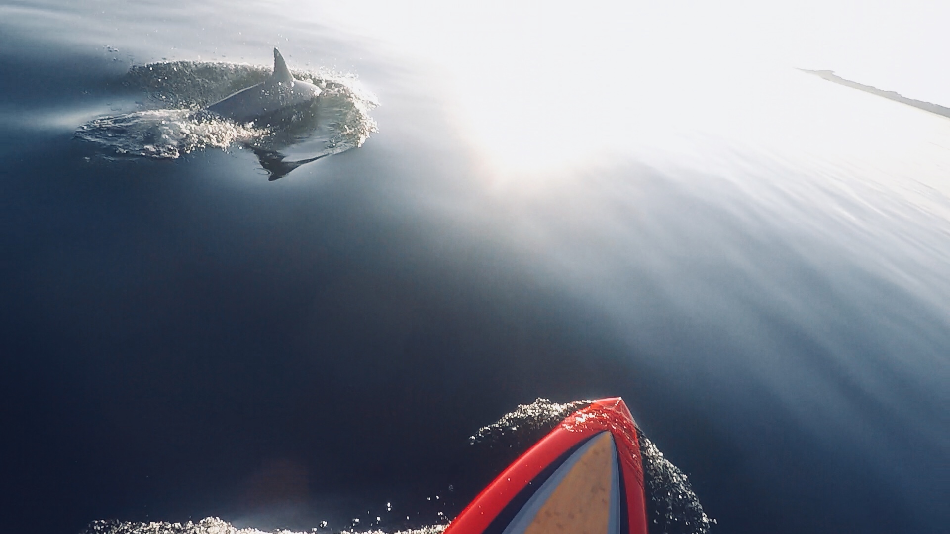 Euphemisms from a SpinSheet Century Club Member