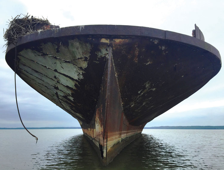 The History of the Ghost Fleet of Mallows Bay