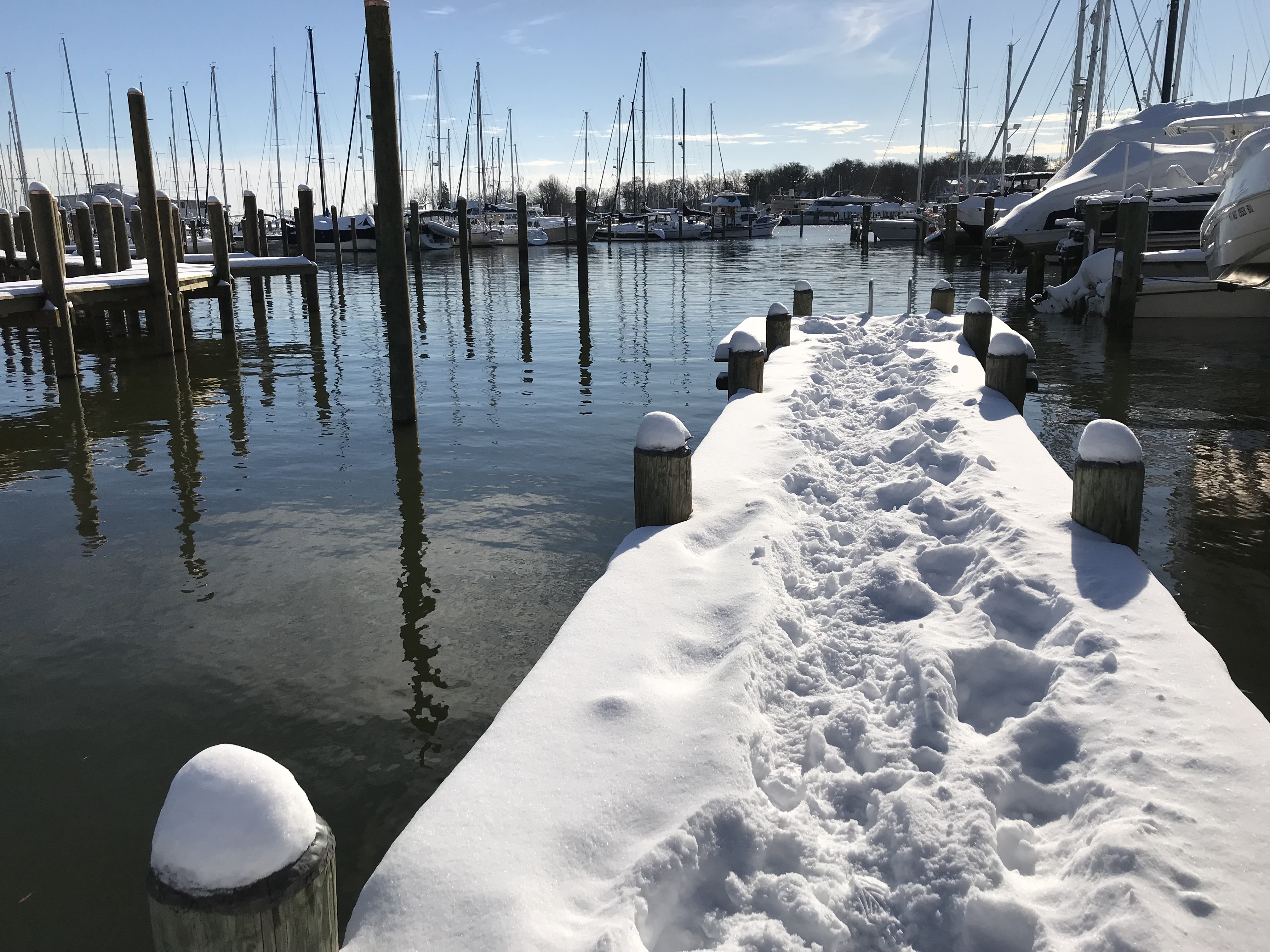 A Week in the Life of a Winter Liveaboard Sailor