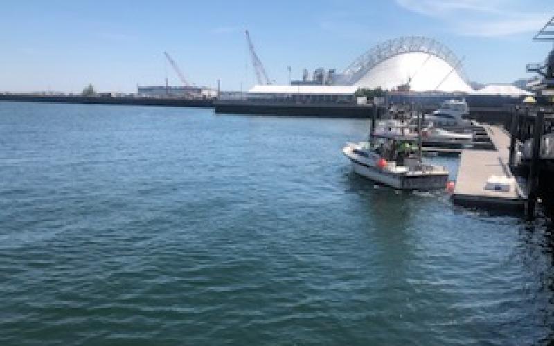 Boating in Boston Harbor | SpinSheet