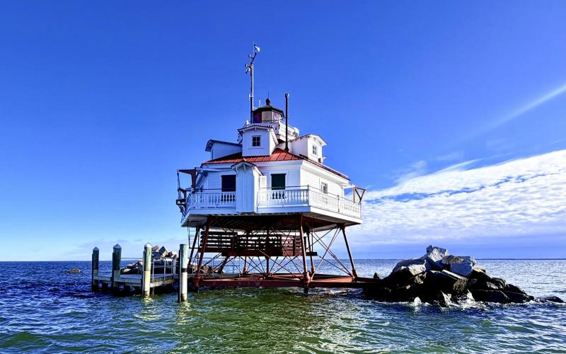 I went out early this morning because the wind was going to really pick ...