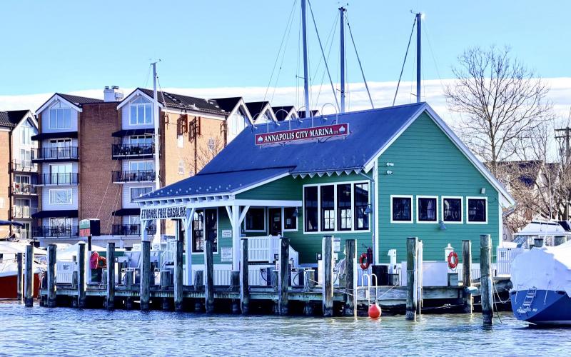 I went out early this morning because the wind was going to really pick ...