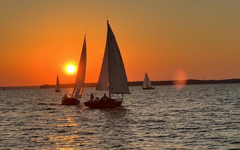 Typhoon Fall Series #6 - PRO | SpinSheet